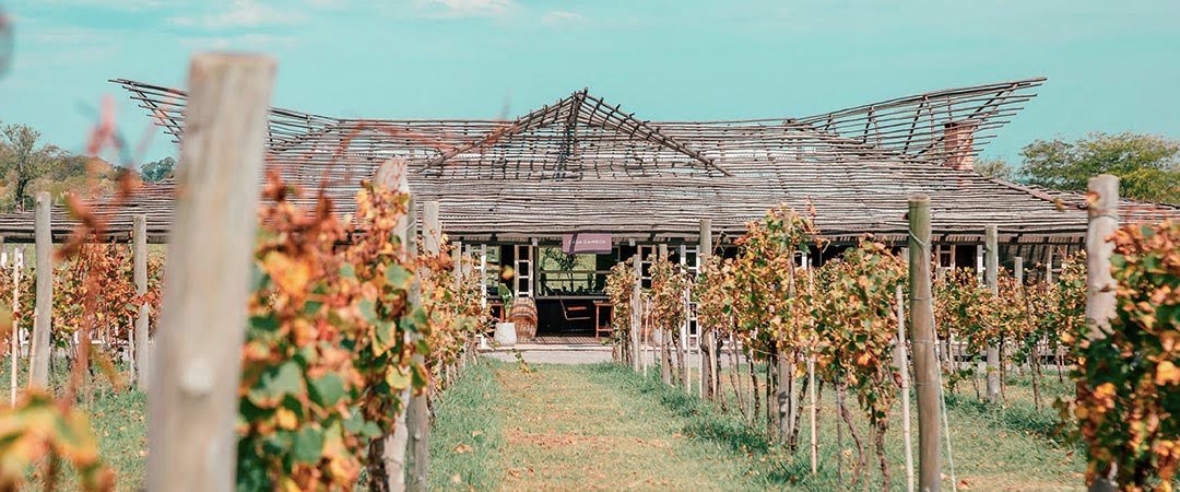 Gamboa - Argentina Highlights